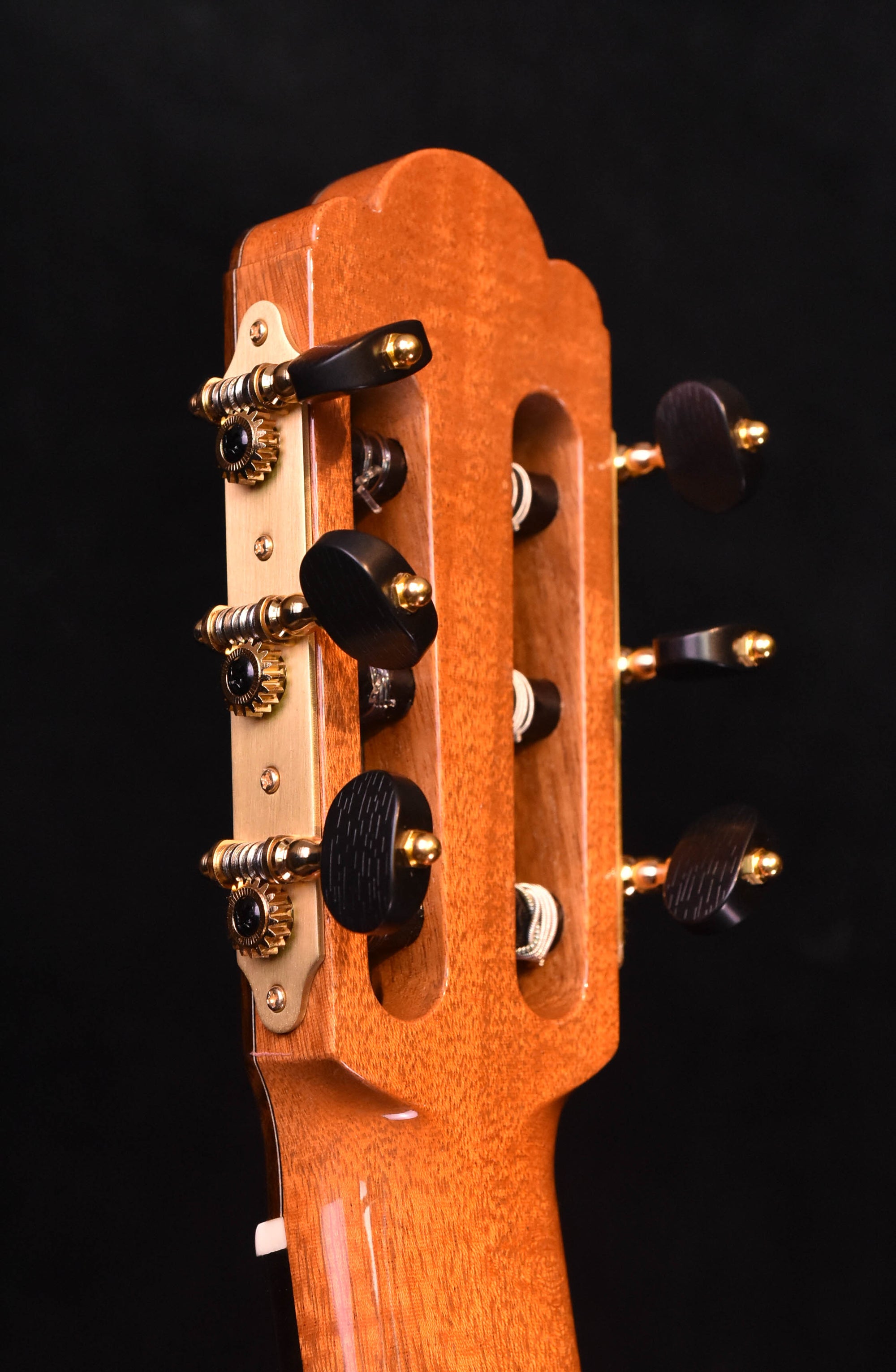 Cordoba Master Series Hauser Classical Guitar