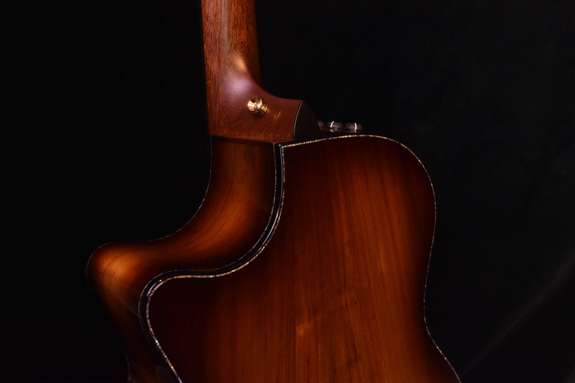 Taylor PS-14CE Honduran Rosewood/Sinker Redwood Acoustic Elec Guitar