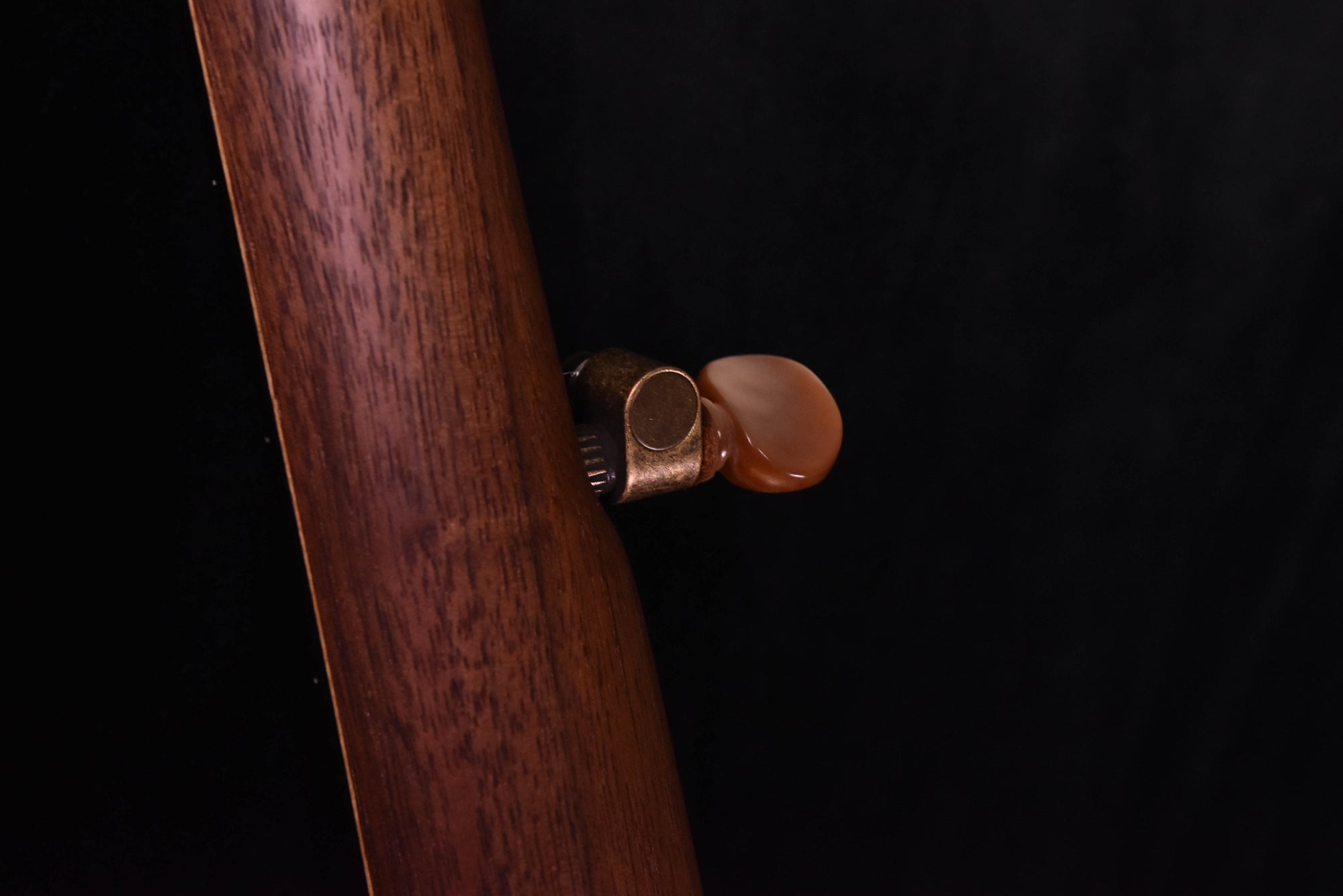 Ome Mira Open-Back Five String Banjo for Sale - 12" Head