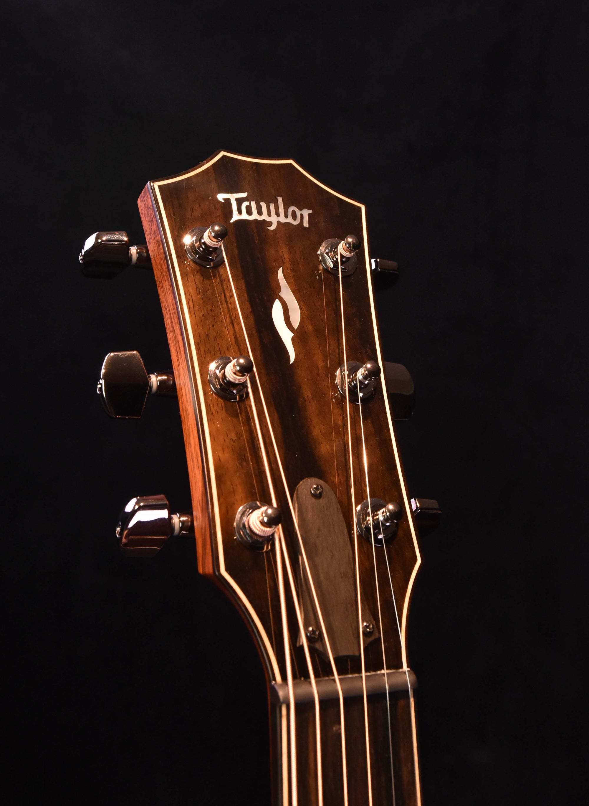 Taylor 814CE V-Class Acoustic Electric cutaway guitar