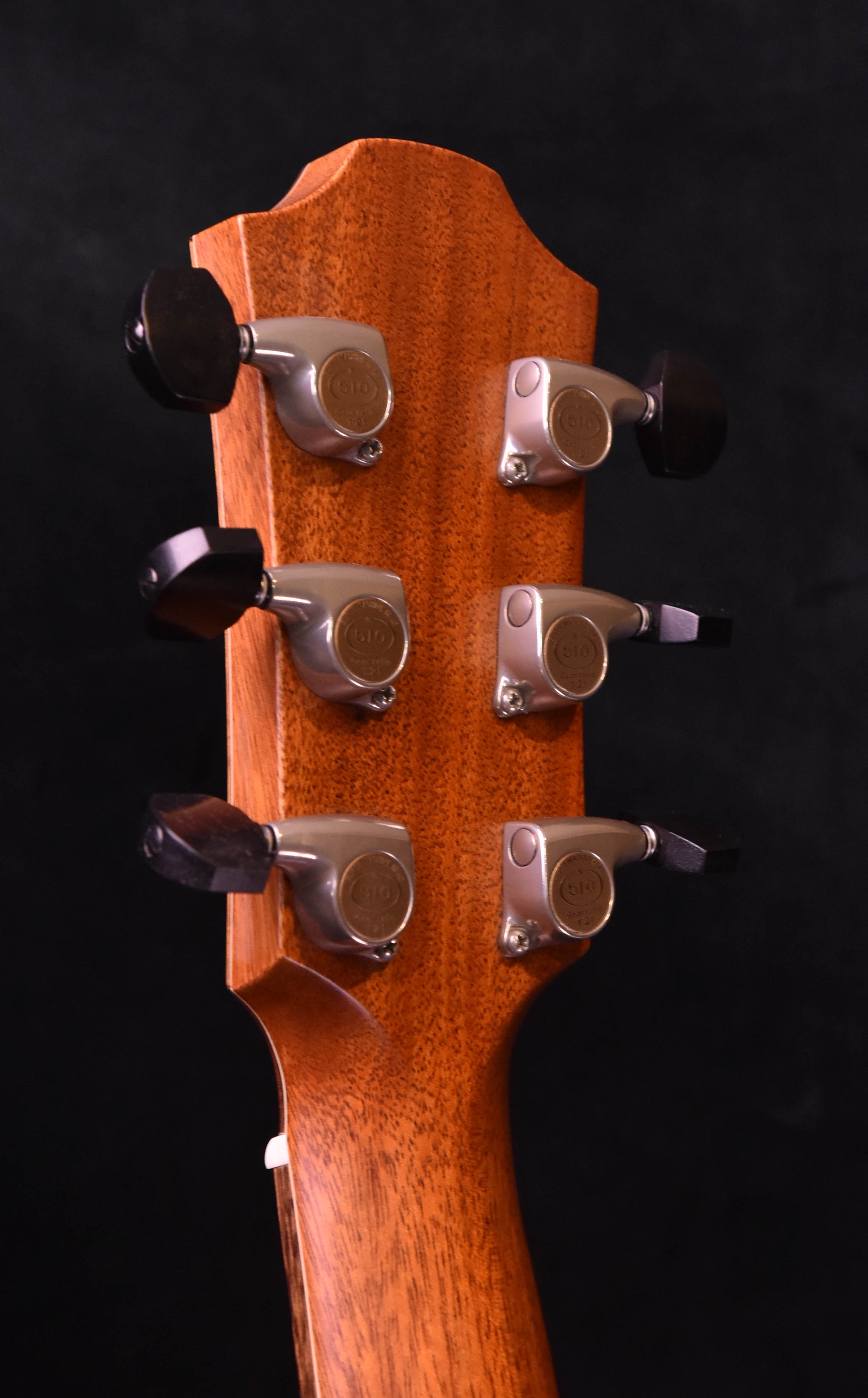 Furch Rainbow Grand Auditorium Cutaway Cedar/Cocobolo Bevel Duo