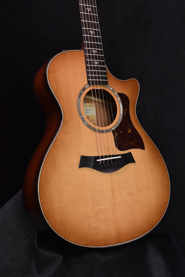 Taylor 512CE Urban Ironbark & Sitka Spruce Acoustic Electric Guitar