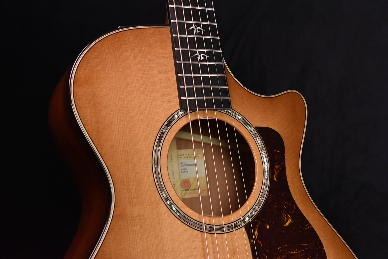 Taylor 512CE Urban Ironbark & Sitka Spruce Acoustic Electric Guitar